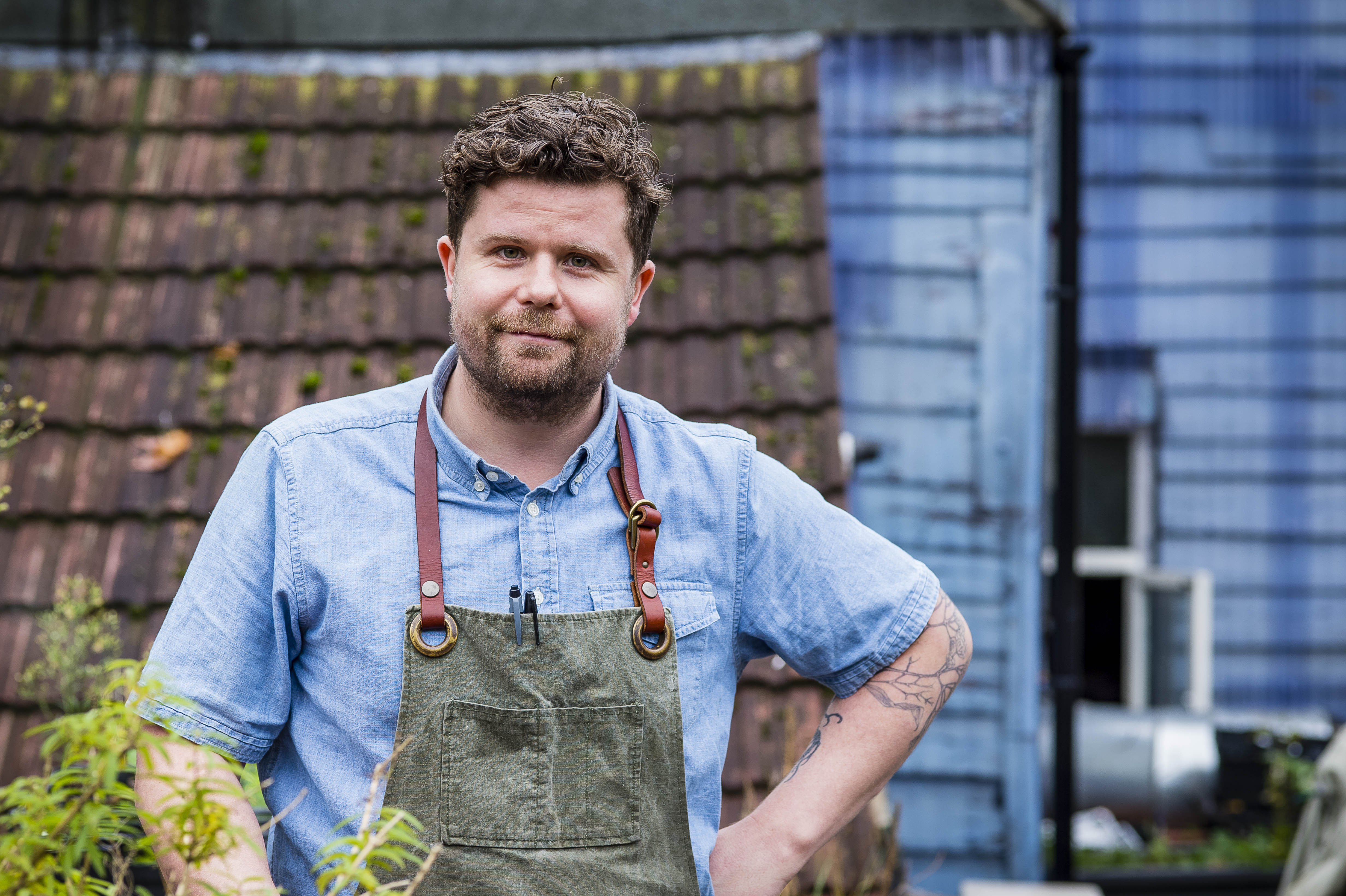Robin, rooftop image